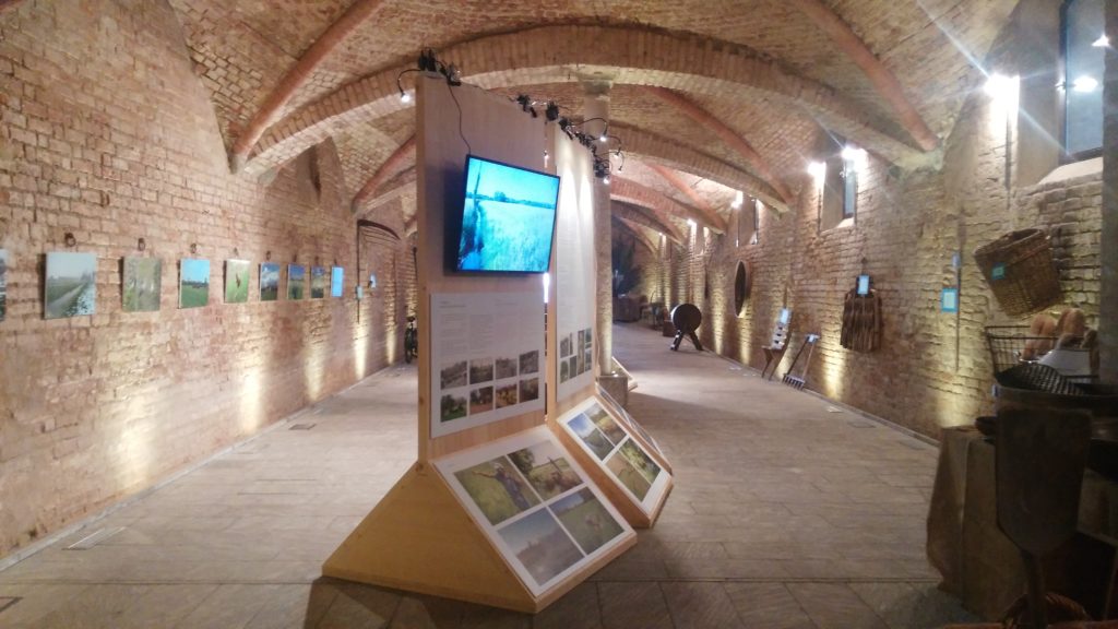 Paesaggi di marcita video e mostra - Parco Ticino