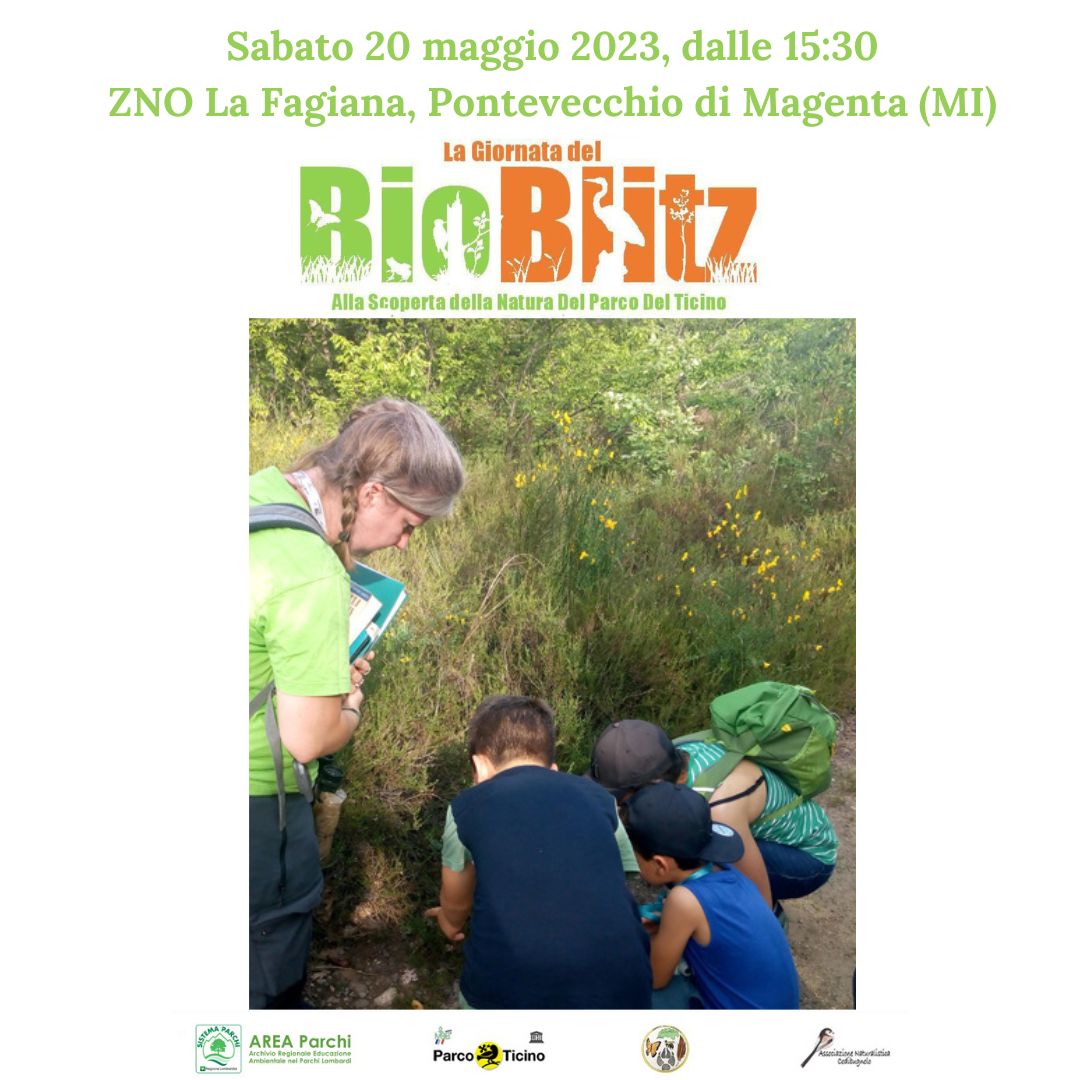Bioblitz 2023:diventa naturalista per un giorno! - Parco Ticino